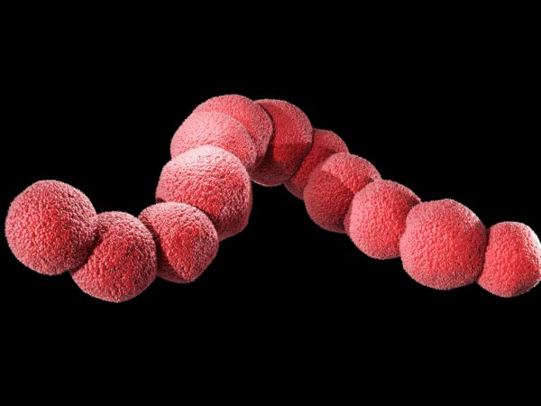 A Florida Man Almost Lost His Leg To Deadly Flesh Eating Bacteria After
